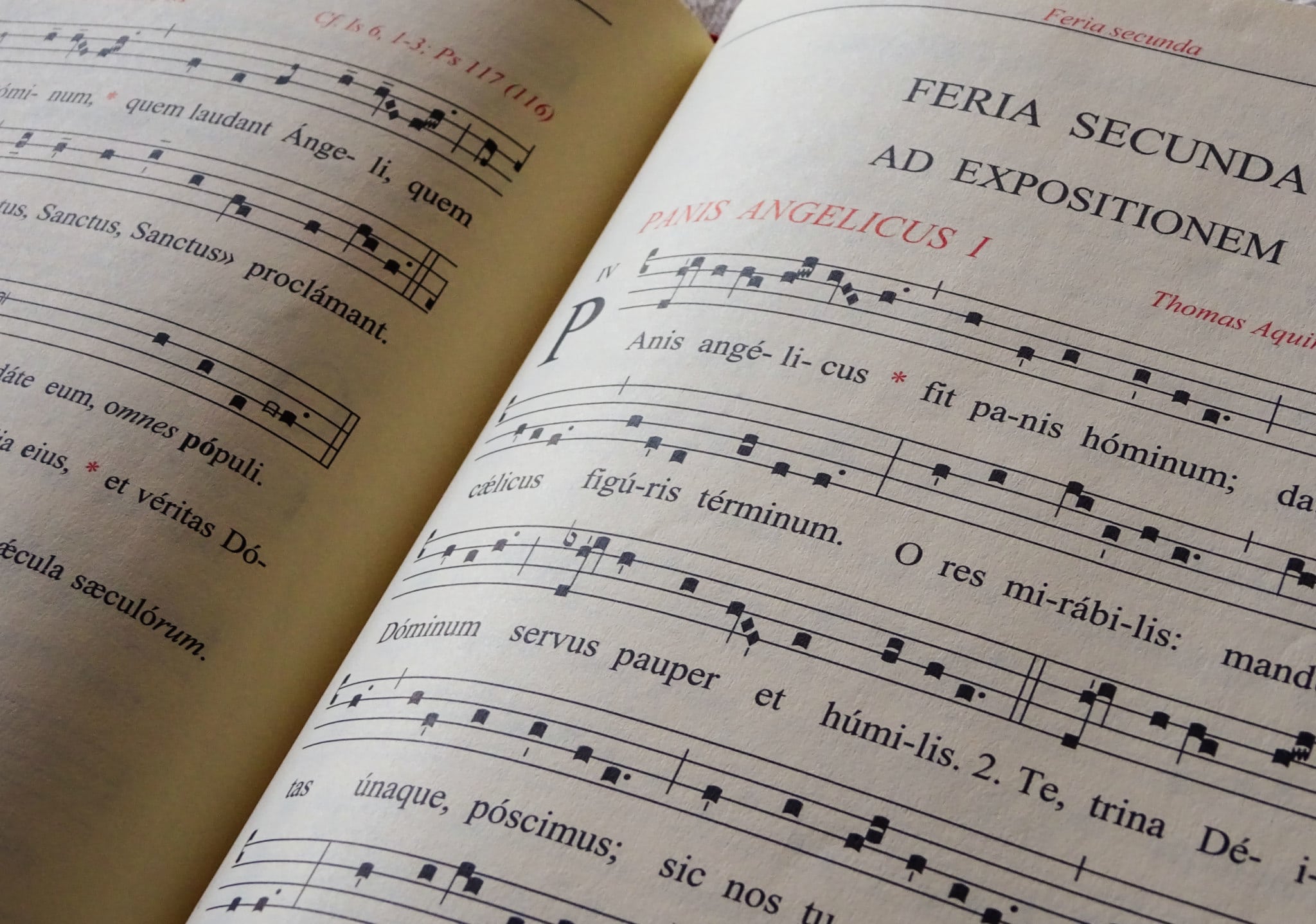 La música es el lenguaje del alma — Tolkian