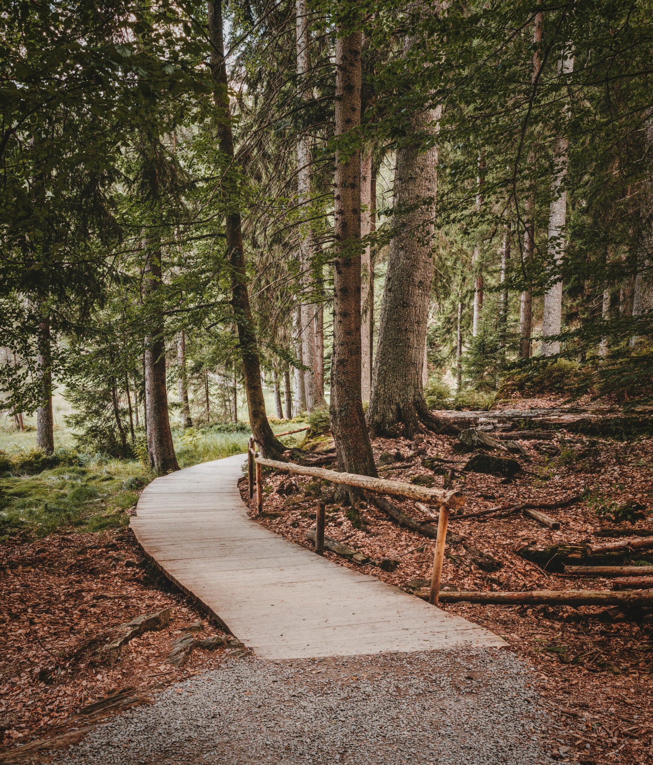 ¿Hacia dónde quieres ir? — Tolkian